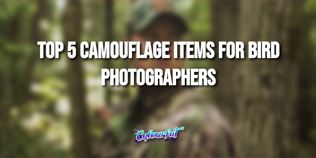Top 5 Camouflage Items for Bird Photographers - Colourful Birding