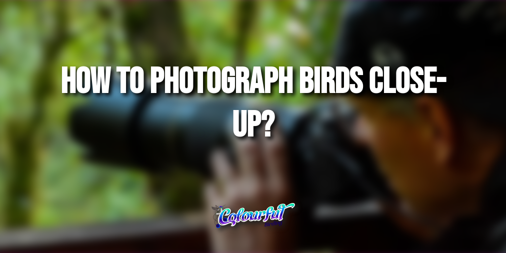 How to photograph birds close-up? | Colourful Birding