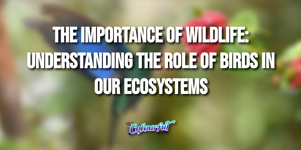 Role of birds in our ecosystem - Colourful Birding