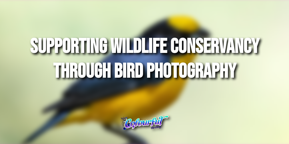 Supporting Wildlife Conservancy through bird photography - Colourful ...